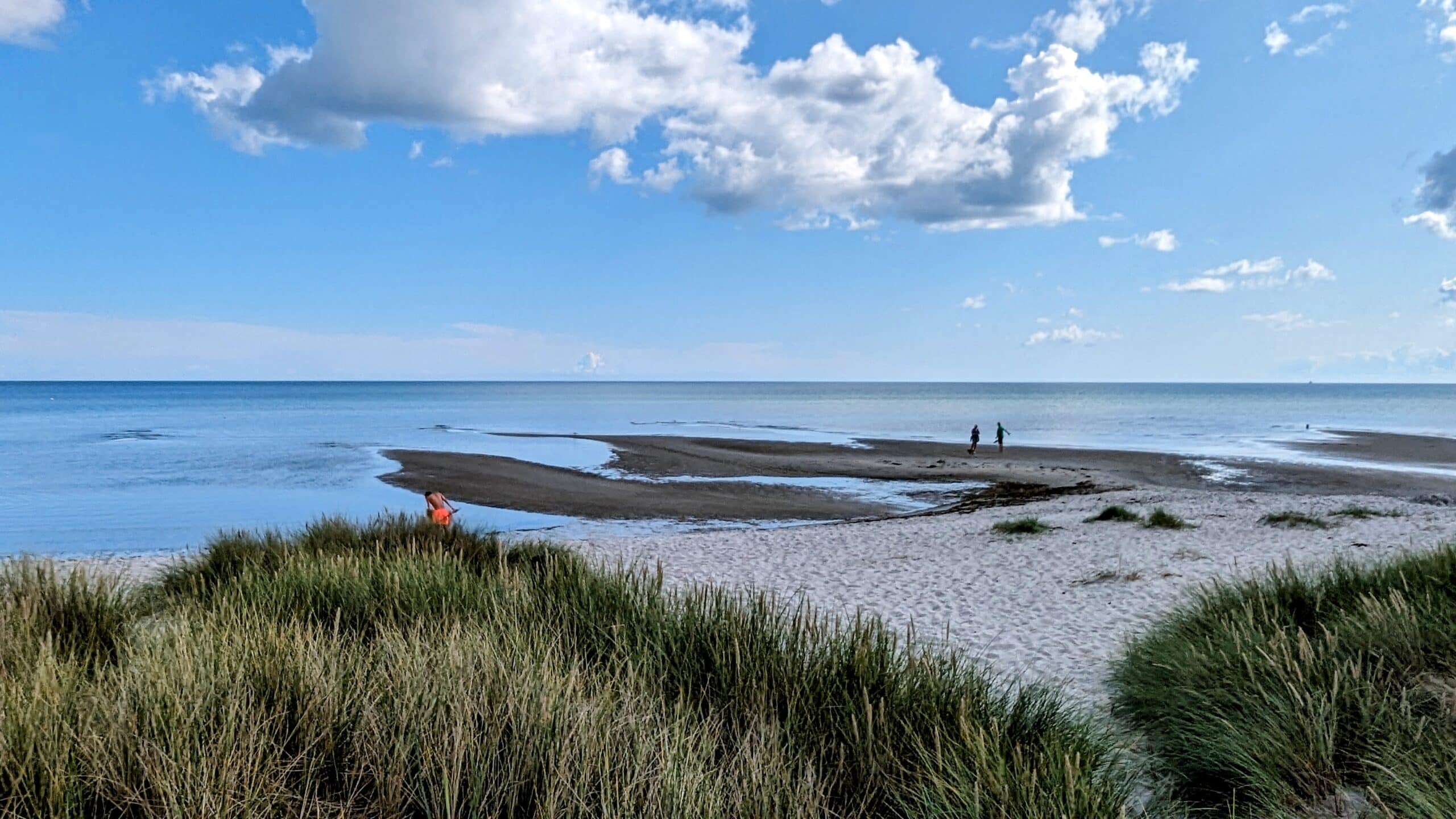 Hals | Dänemark.Guide